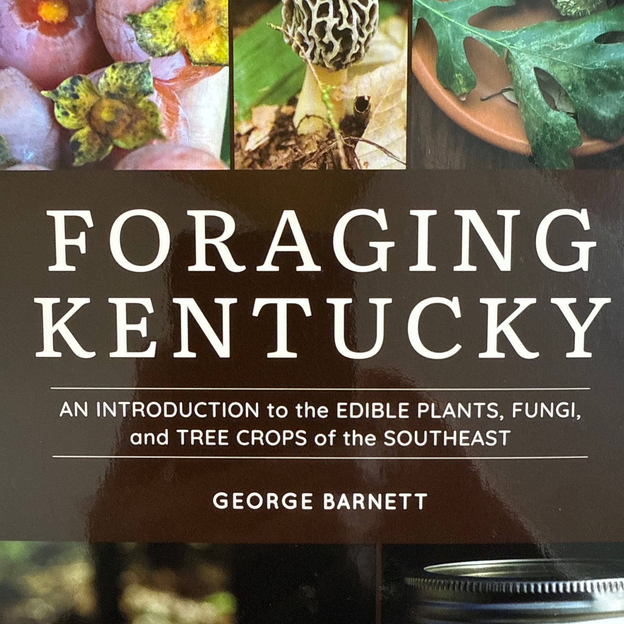 Foraging Kentucky - Hickory Cabins